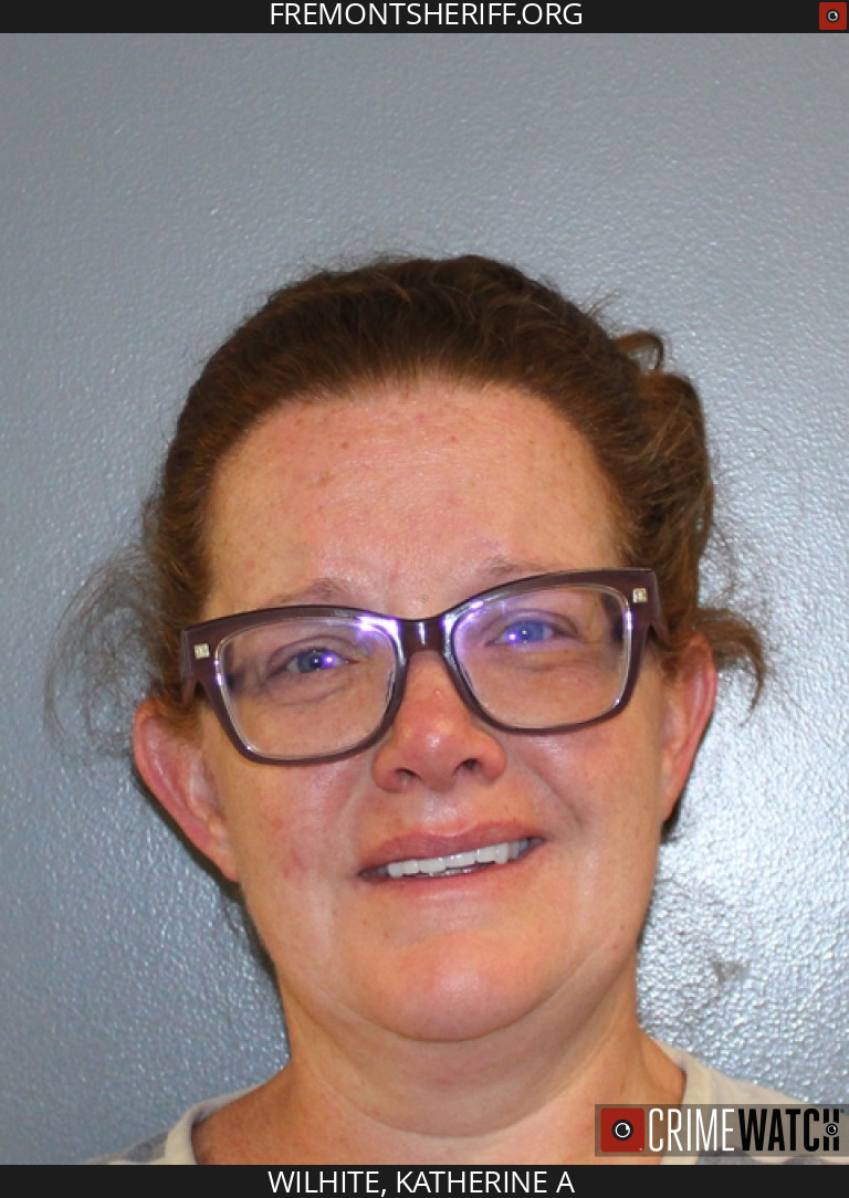 Wilhite, Katherine A - ASSAULT 3 and 1 additional charge | Fremont ...
