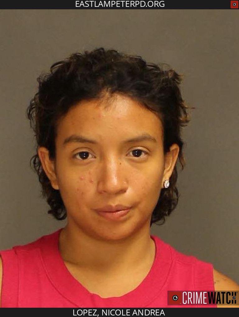 LOPEZ, Nicole Andrea - (1) count False Reports To Law Enforcement (M-3 ...