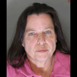 Eisenhaur, Tammy Marie - THEFT BY UNLAWFUL TAKING-MOVABLE PROPERTY and ...