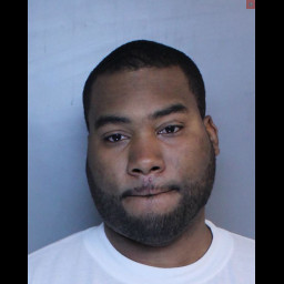 Howard, Torrian D - (1 count) (18) 5104 Resisting Arrest (M2) and 3 ...