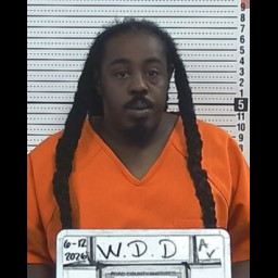 Wilmer, Derrell Deante - PROBATION VIOLATION | Ford County Sheriff's Office