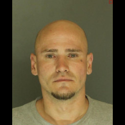 Mitzel, Michael - (1) count Fleeing & Eluding Police and 3 additional ...