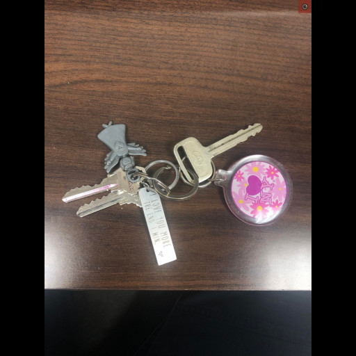 FOUND KEYS | Waynesboro Police Department