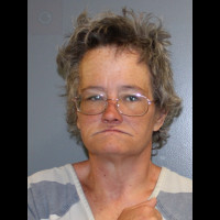 Tosi, Elizabeth N - FAILURE TO APPEAR - HARASSMENT | Fremont County ...